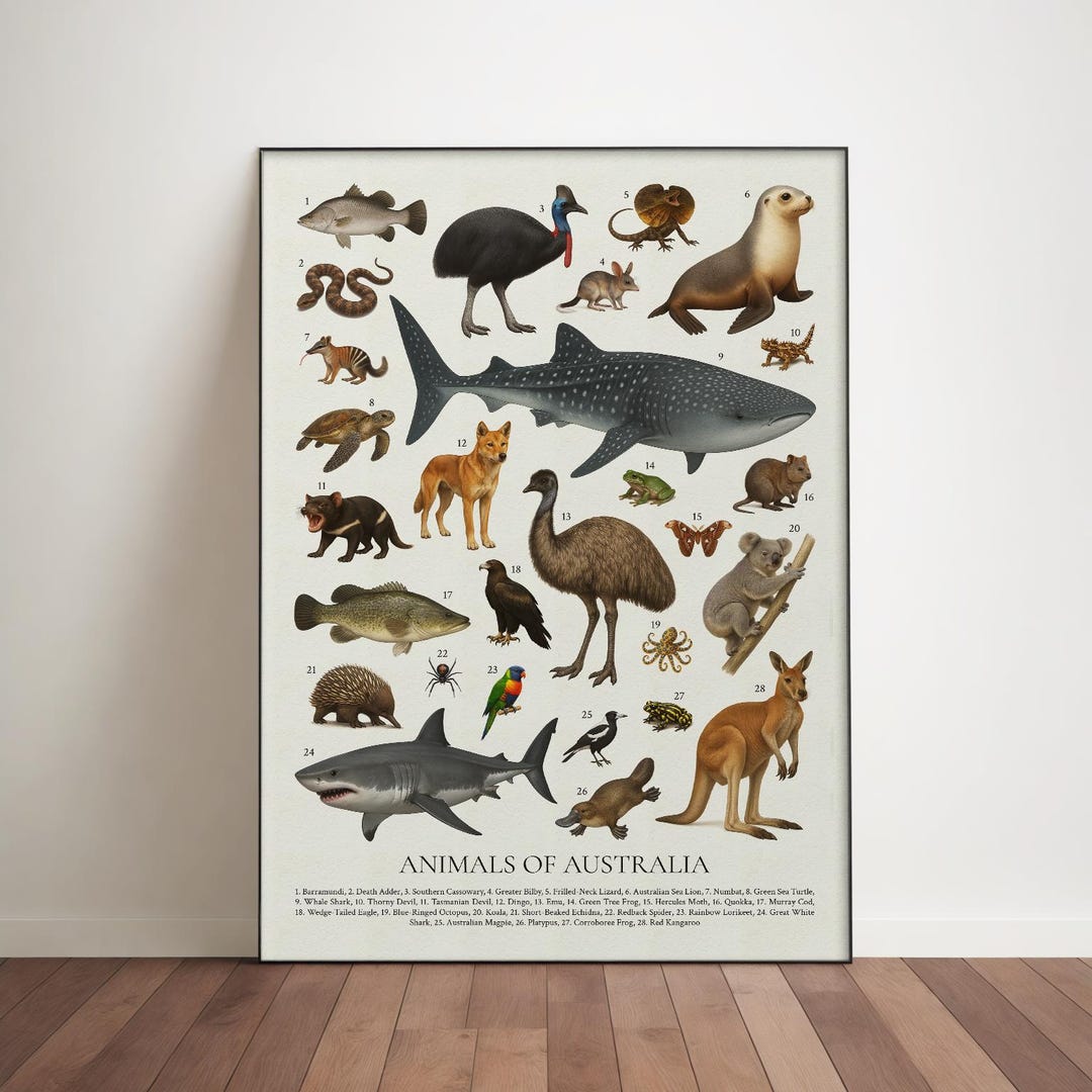 Australian Animals Poster: Retro Illustration, Educational Wall Art - Etsy