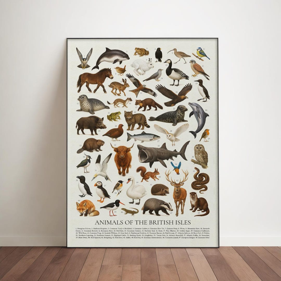 Animals of the British Isles Poster: Retro Wildlife, Educational ...