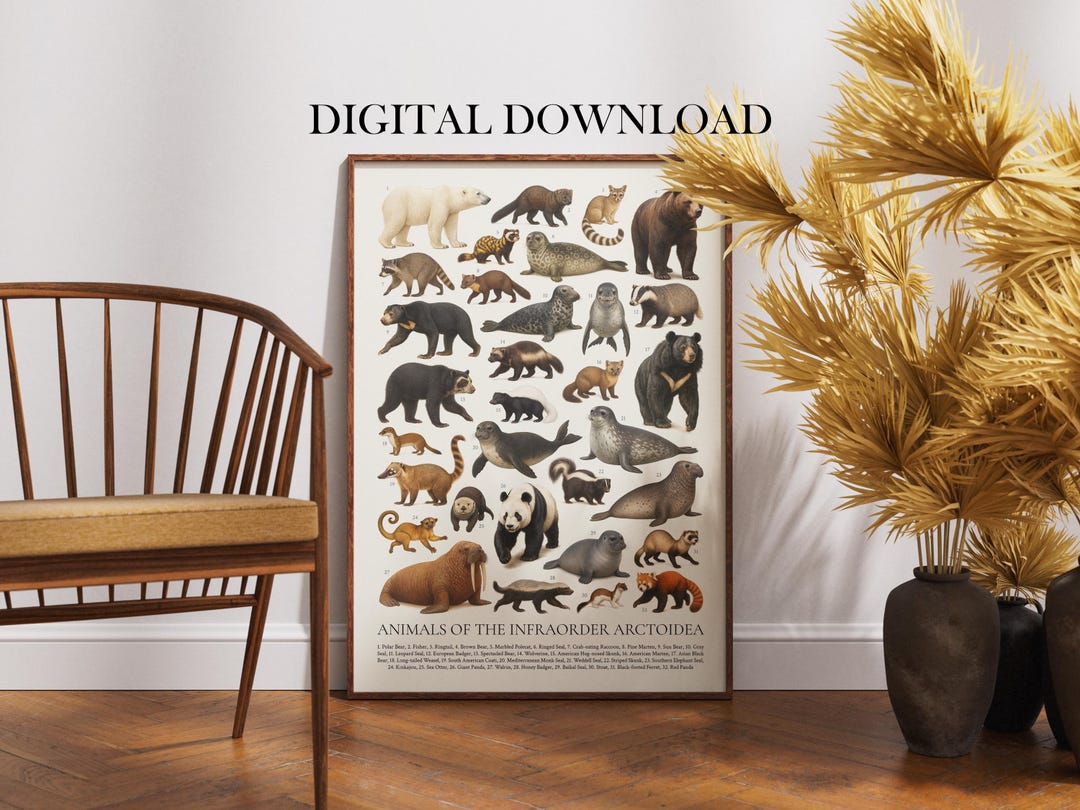 Animals of Infraorder Arctoidea Poster Digital Download: Retro Wildlife ...