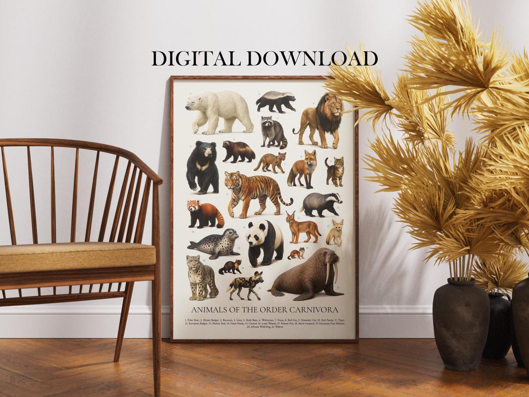 Animals of the Order Carnivora Digital Download: Retro Wildlife ...