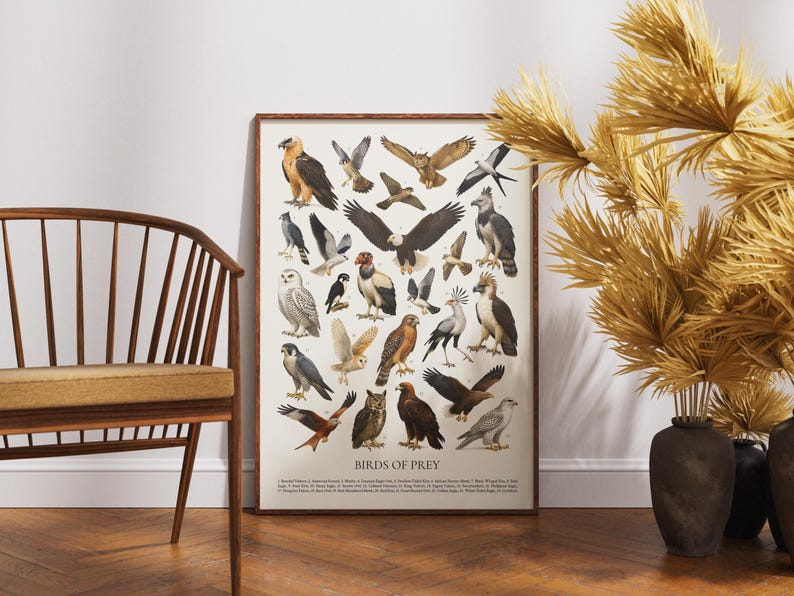 Birds of Prey Poster: Retro Ornithology Educational Print - Etsy