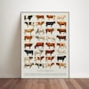 Farm Nursery Prints, Barn Yard Animal Printable Wall Art, Farm Playroom ...