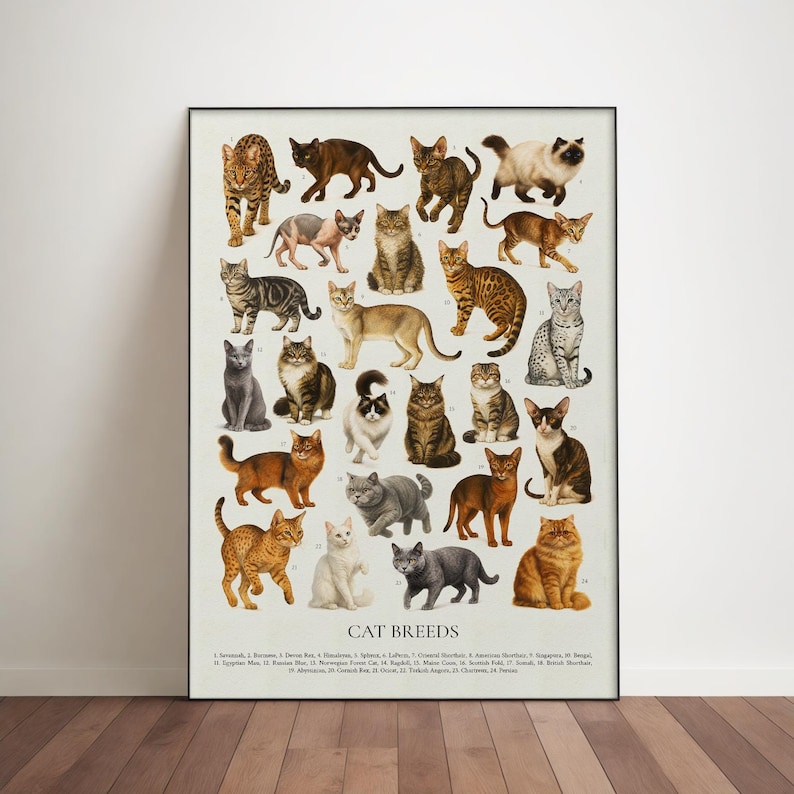 Cat Breeds Poster: Retro Style Cat Lover Art Print - Etsy