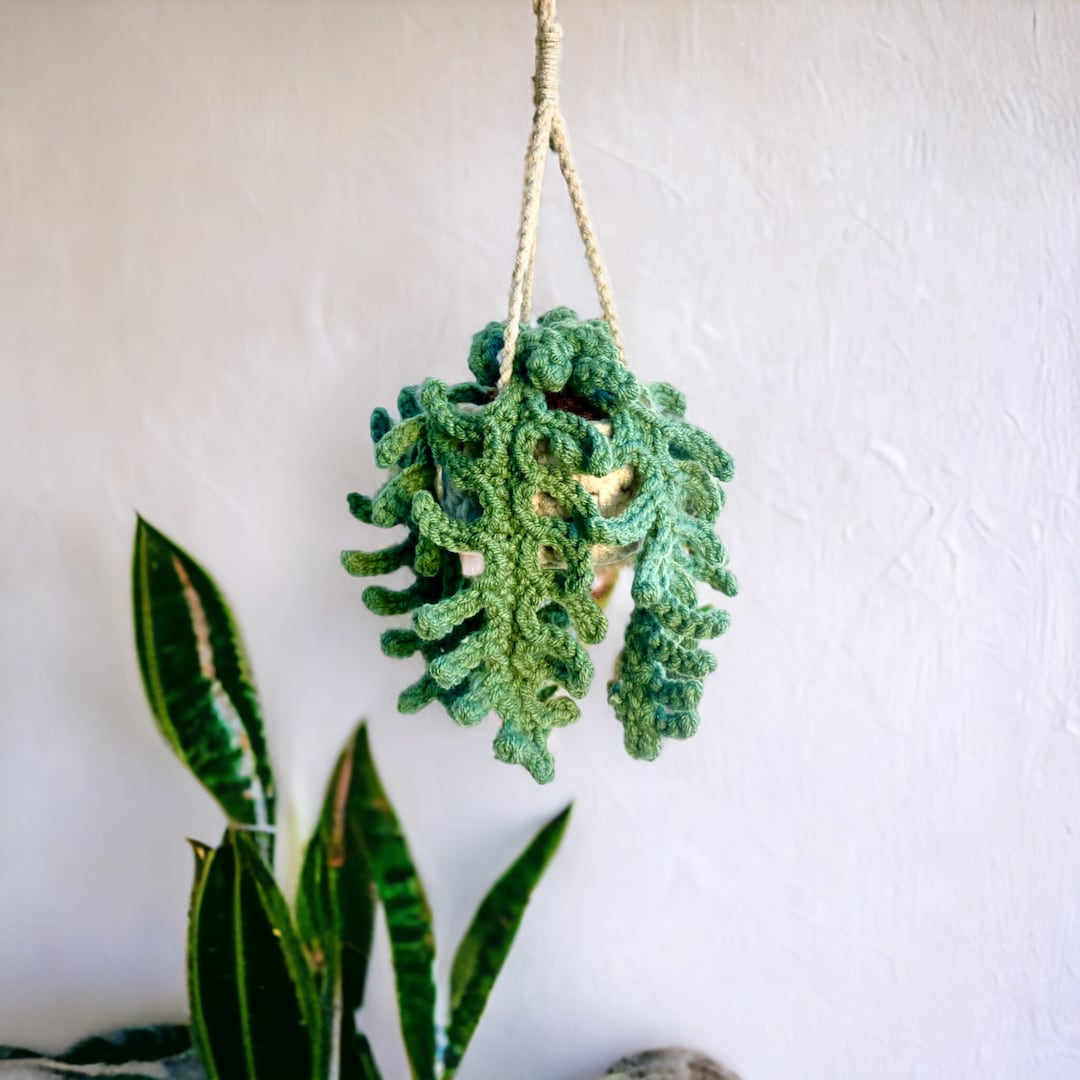 Car Plant Fern Crochet PATTERN ONLY - Etsy