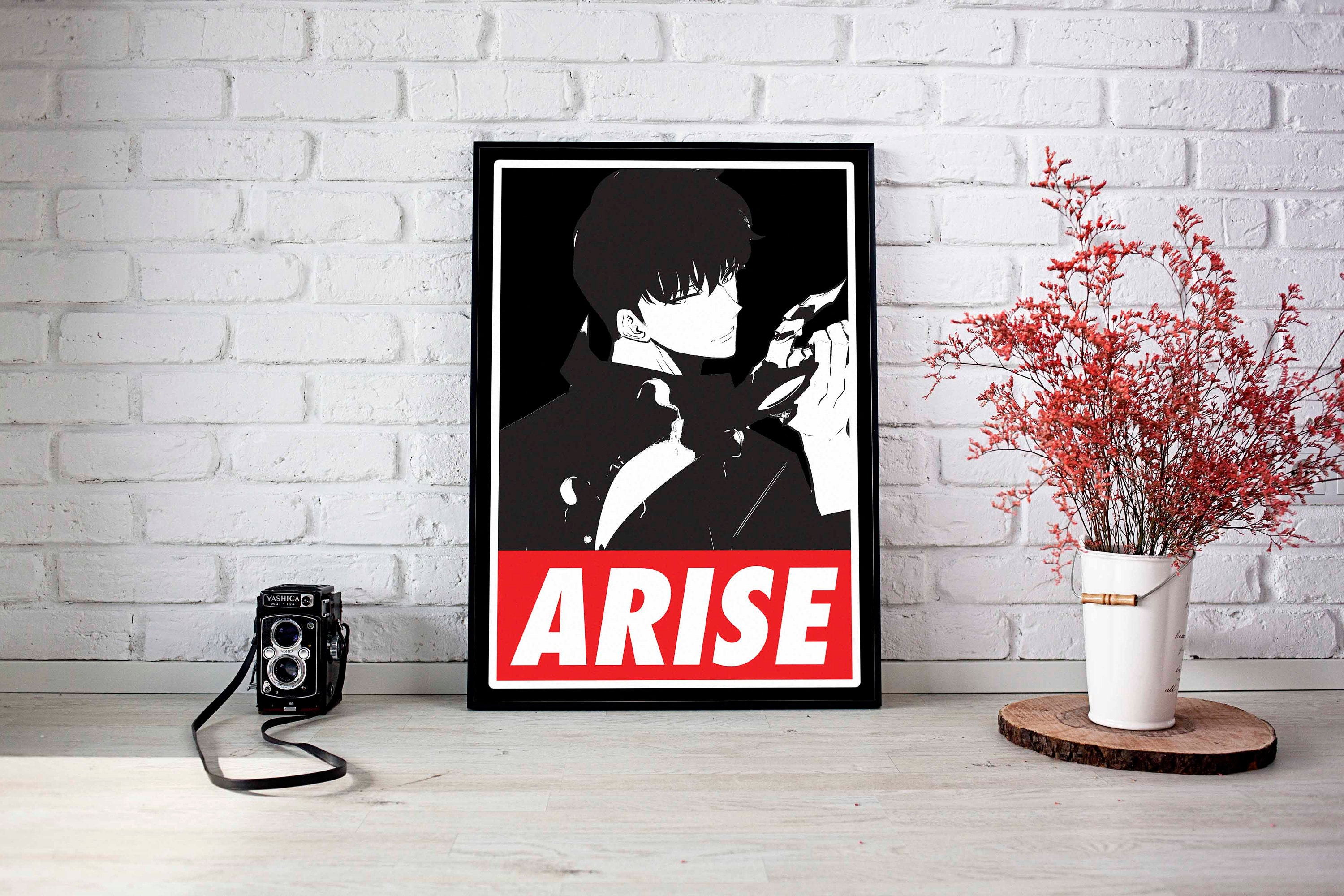 Arise Solo Leveling Sung Jinwoo T-shirt, JPEG Print, DTF Sublimation Shirt, DTG Design, Fan Art ...