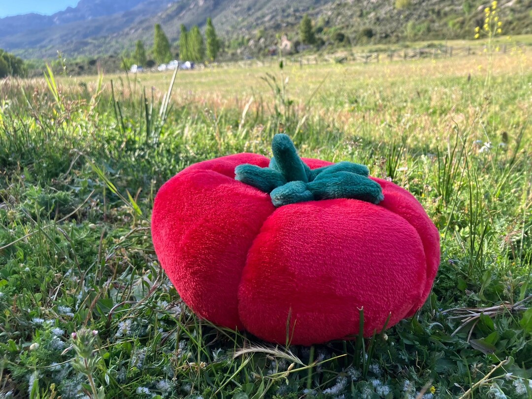 Tomato Plush - Etsy