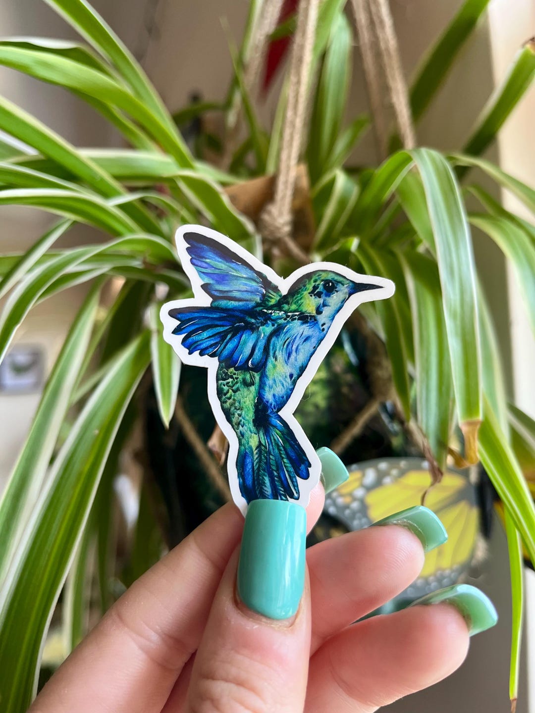 Hand-drawn Hummingbird Vinyl Sticker: Waterproof Laptop Decal - Etsy