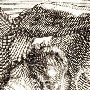 Anatomical of Man Antique Sketch | Vintage Wall Art | Classic Anatomy ...