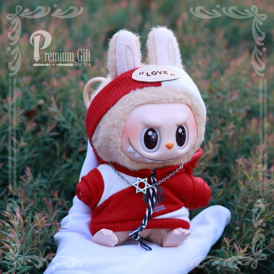 Ready for Shipment Labubu Hoodie Clothes, Include 1 Clothes 1 Necklace ...
