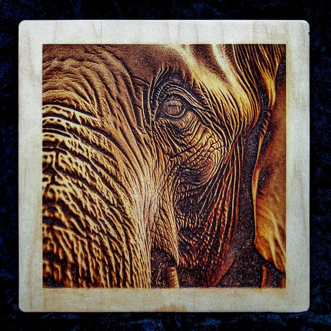 Elephant Eye Close-up Laser- 6x6" Engraved on Maple Plywood - Etsy