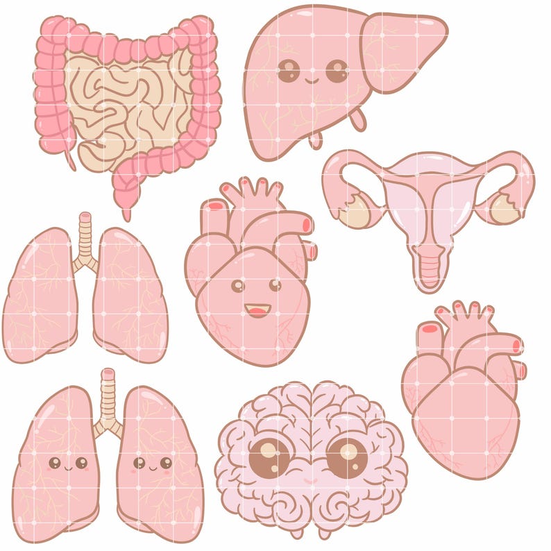 Cute Human Anatomy Clipart | Pastel Cartoon Body Organs PNG | Kawaii ...