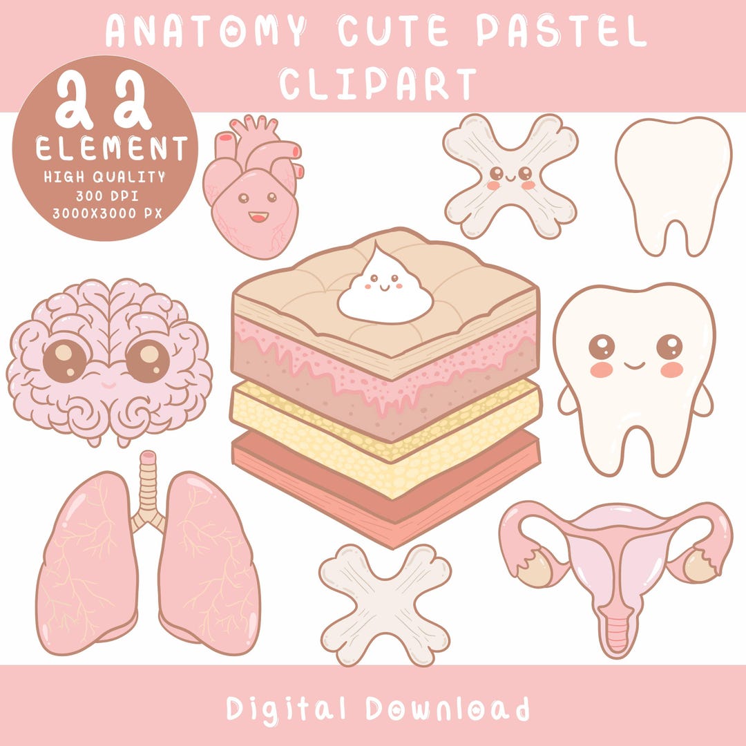 Cute Human Anatomy Clipart | Pastel Cartoon Body Organs PNG | Kawaii ...