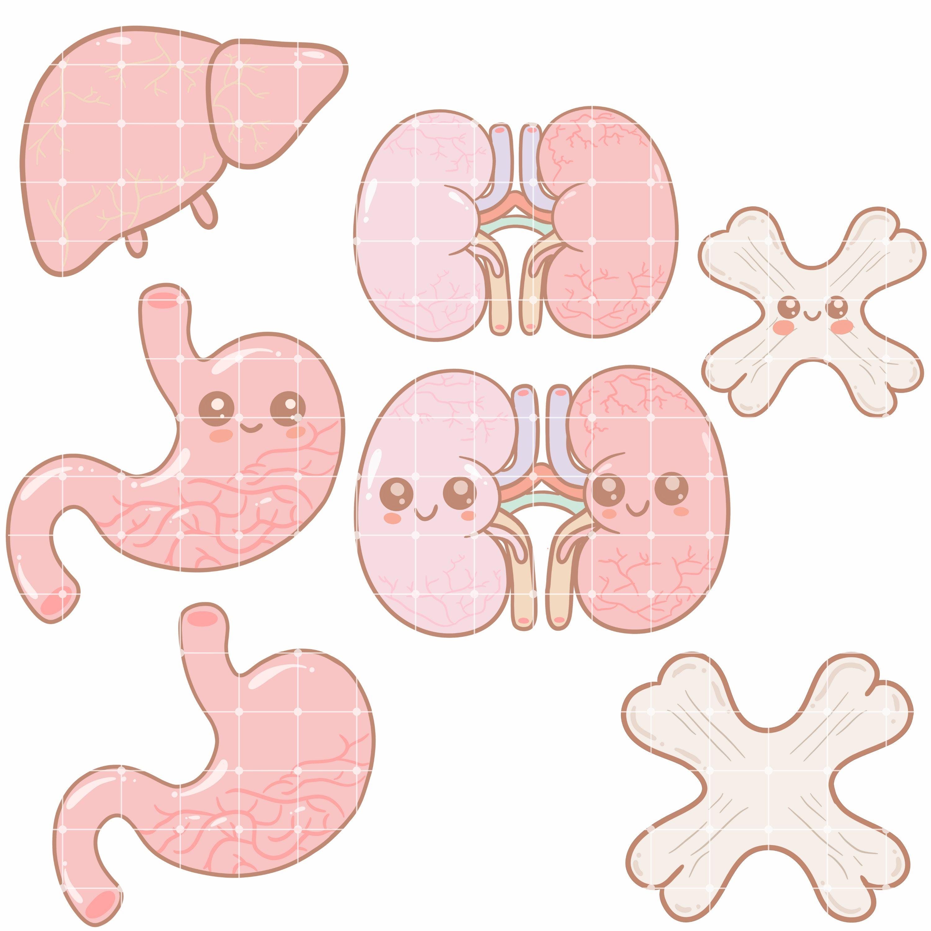 Cute Human Anatomy Clipart | Pastel Cartoon Body Organs PNG | Kawaii ...