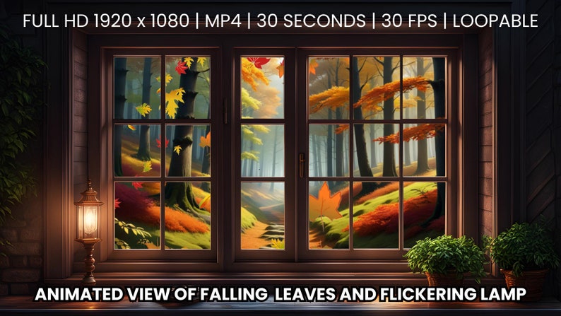 Look Out the Magic Window Collection PLUS Canva Template of Animated ...