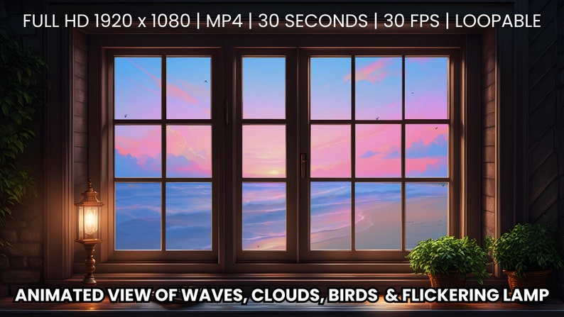 Look Out the Magic Window Collection PLUS Canva Template of Animated ...