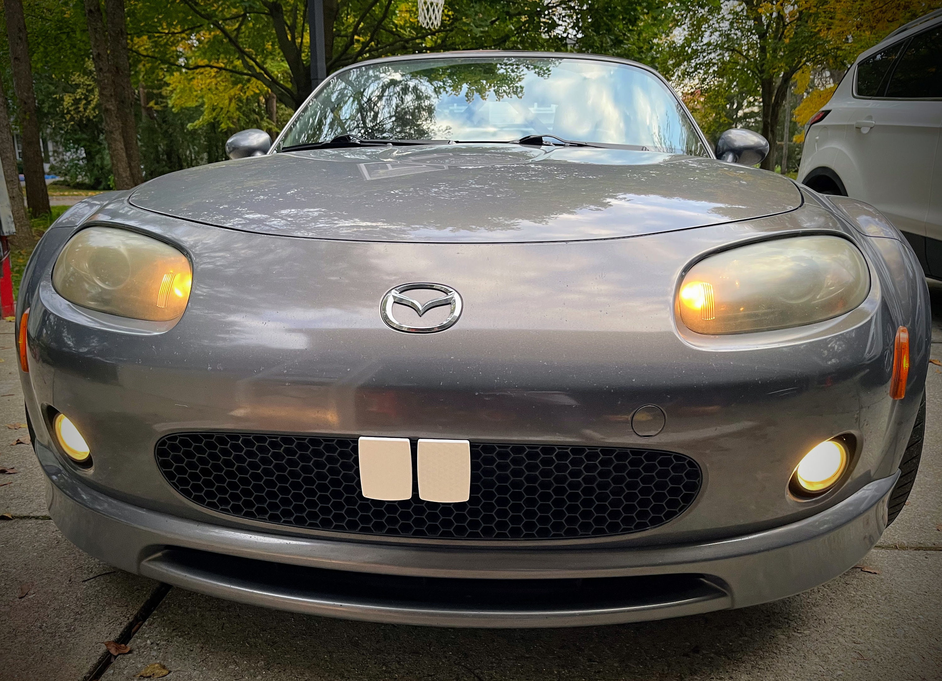 NC Mazda Miata Buck / Bunny Teeth fits in Grill of NC1 2006-2008 MX5 - Etsy