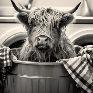 Highland Cow Laundry Set 10 Photos - Digital Download - Instant ...