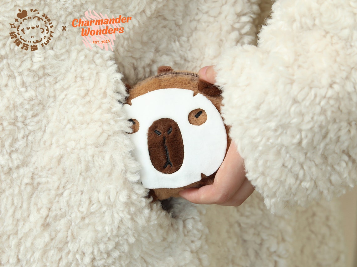 Capybara Coin Purse, Capybara Wallet, Capybara Plush, Zip Pouch ...