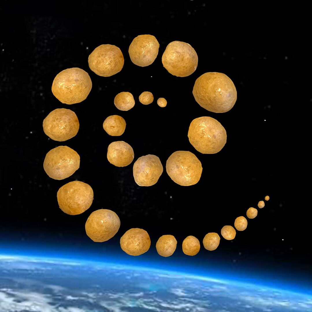 Nebula Nibbles Freeze Dried Snacks - Etsy