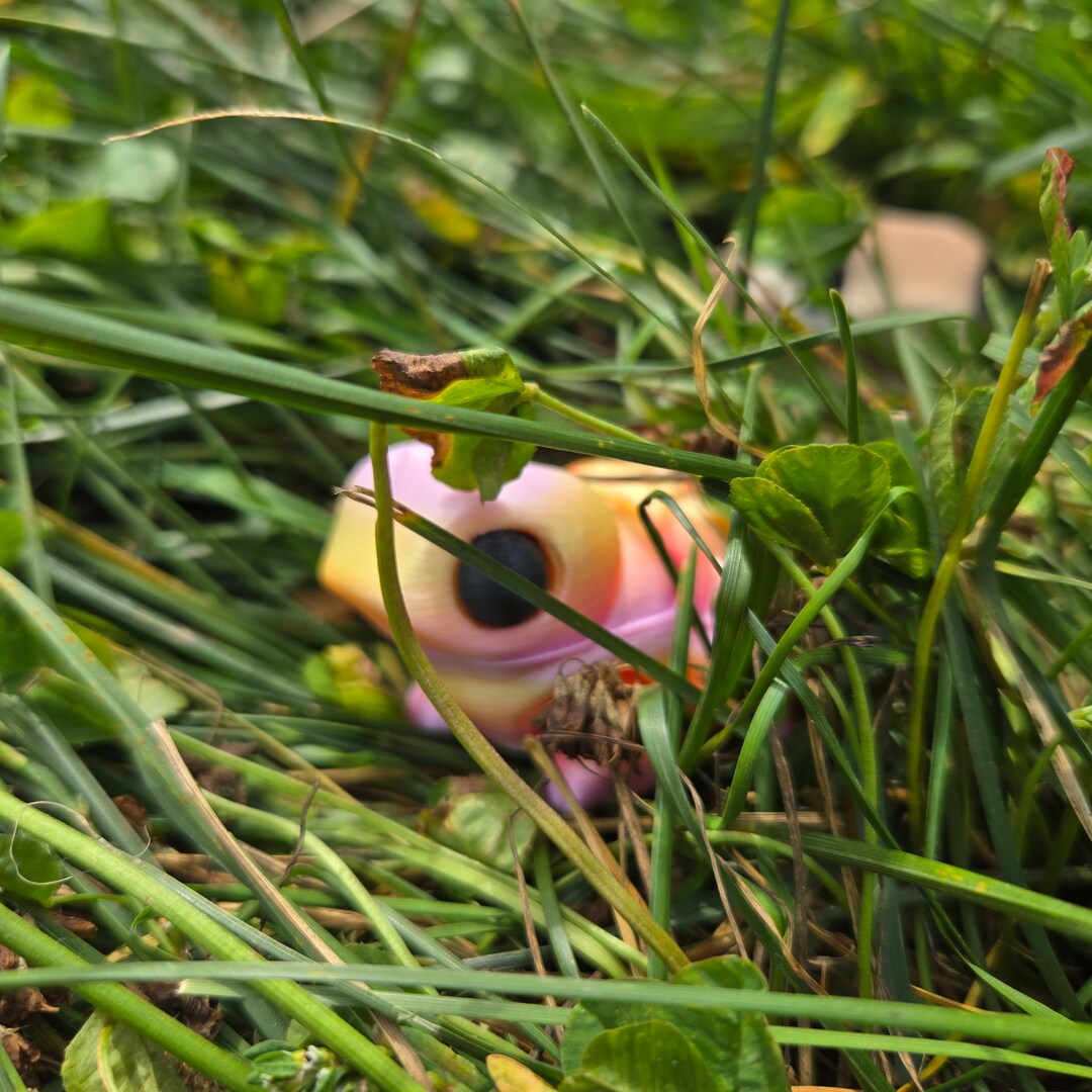 3D Printed Thicc Frog - Etsy