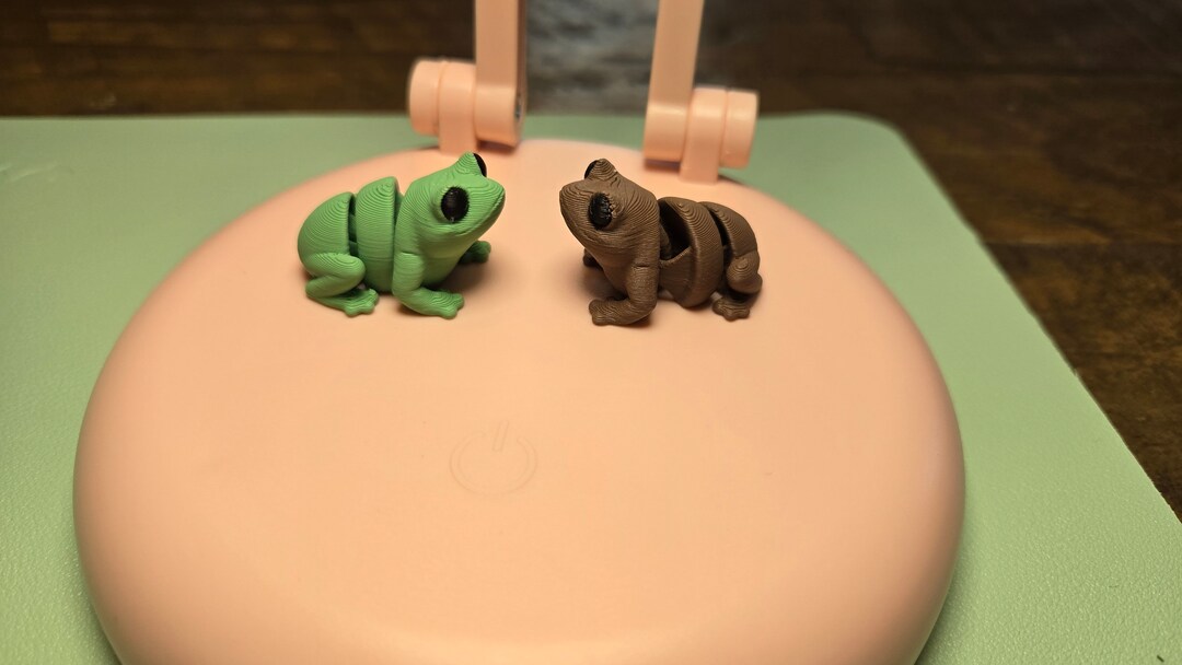 3D Printed Frog - Etsy