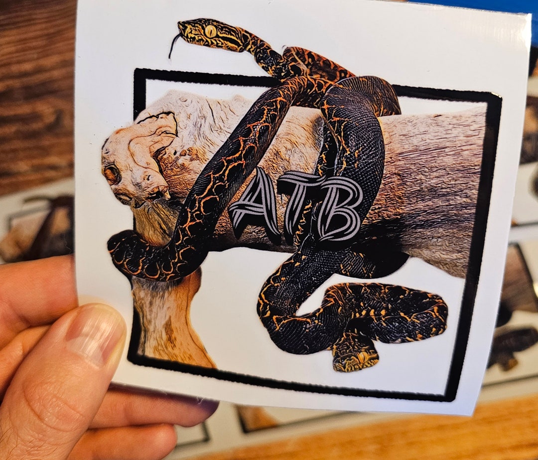 Amazon Tree Boa Perma Sticker - Etsy