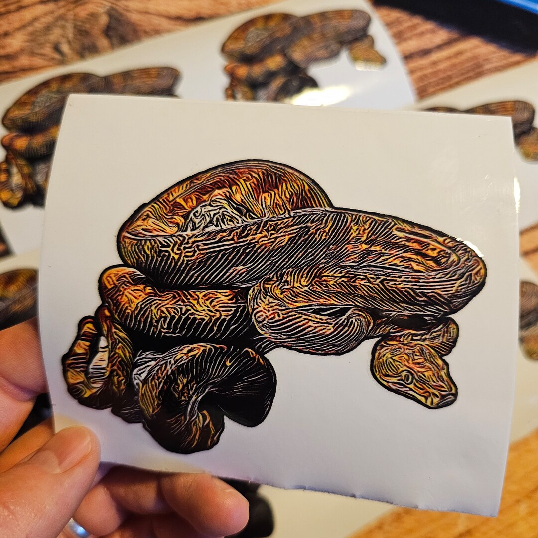 Amazon Tree Boa Perma Sticker - Etsy
