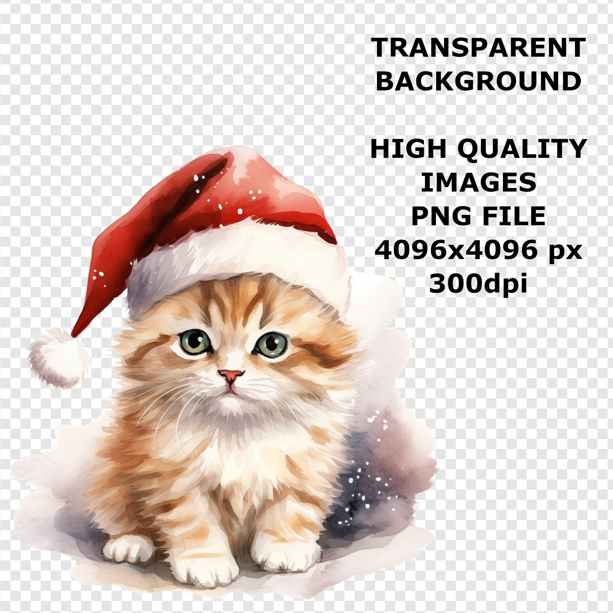 Watercolor Christmas Kitten PNG: Holiday Clipart (digital Download) - Etsy