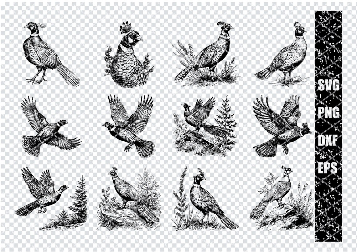 PHEASANT BIRD SVG, Pheasant Bird Svg Files for Cricut, Pheasant Bird ...