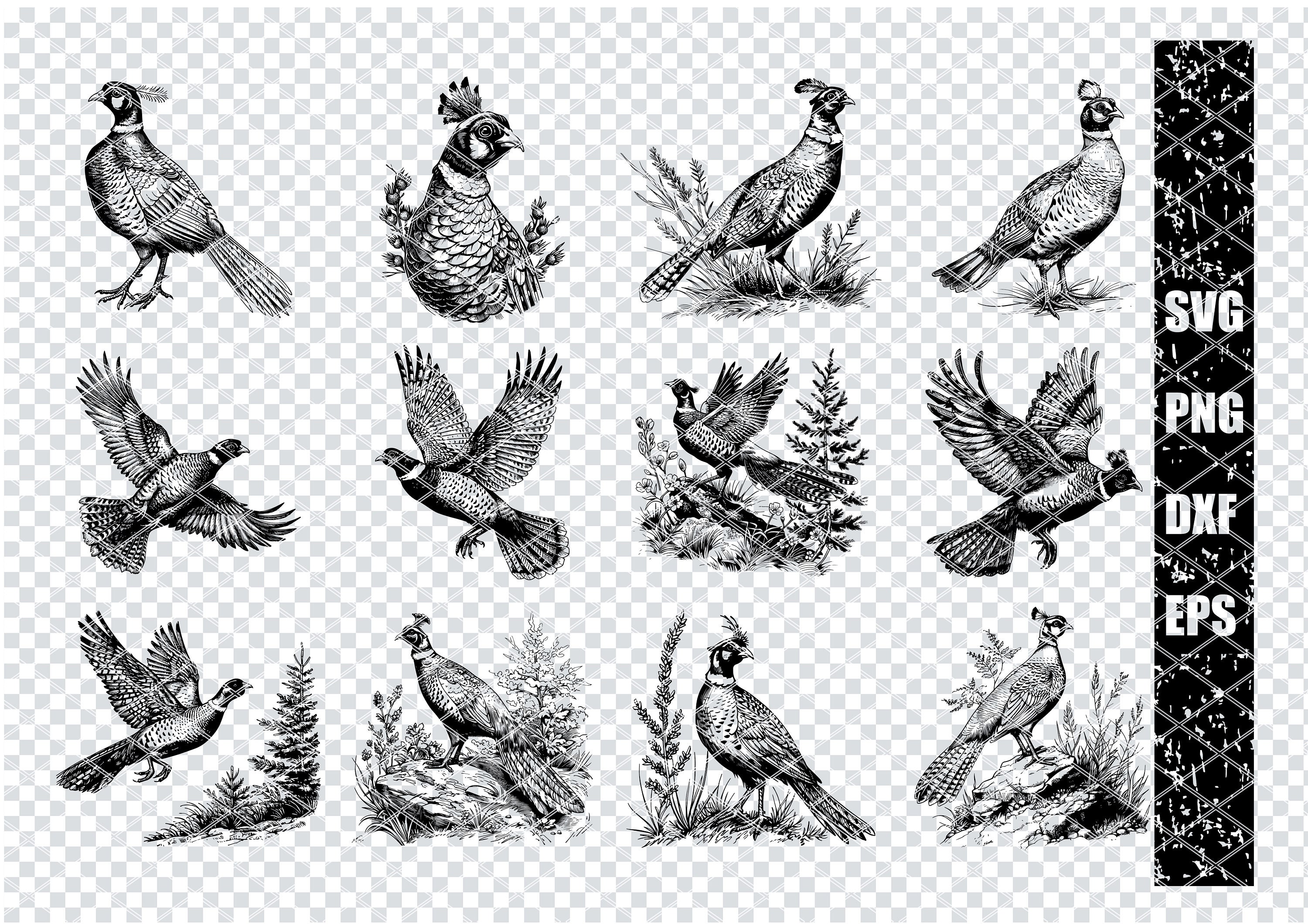 PHEASANT BIRD SVG, Pheasant Bird Svg Files for Cricut, Pheasant Bird ...
