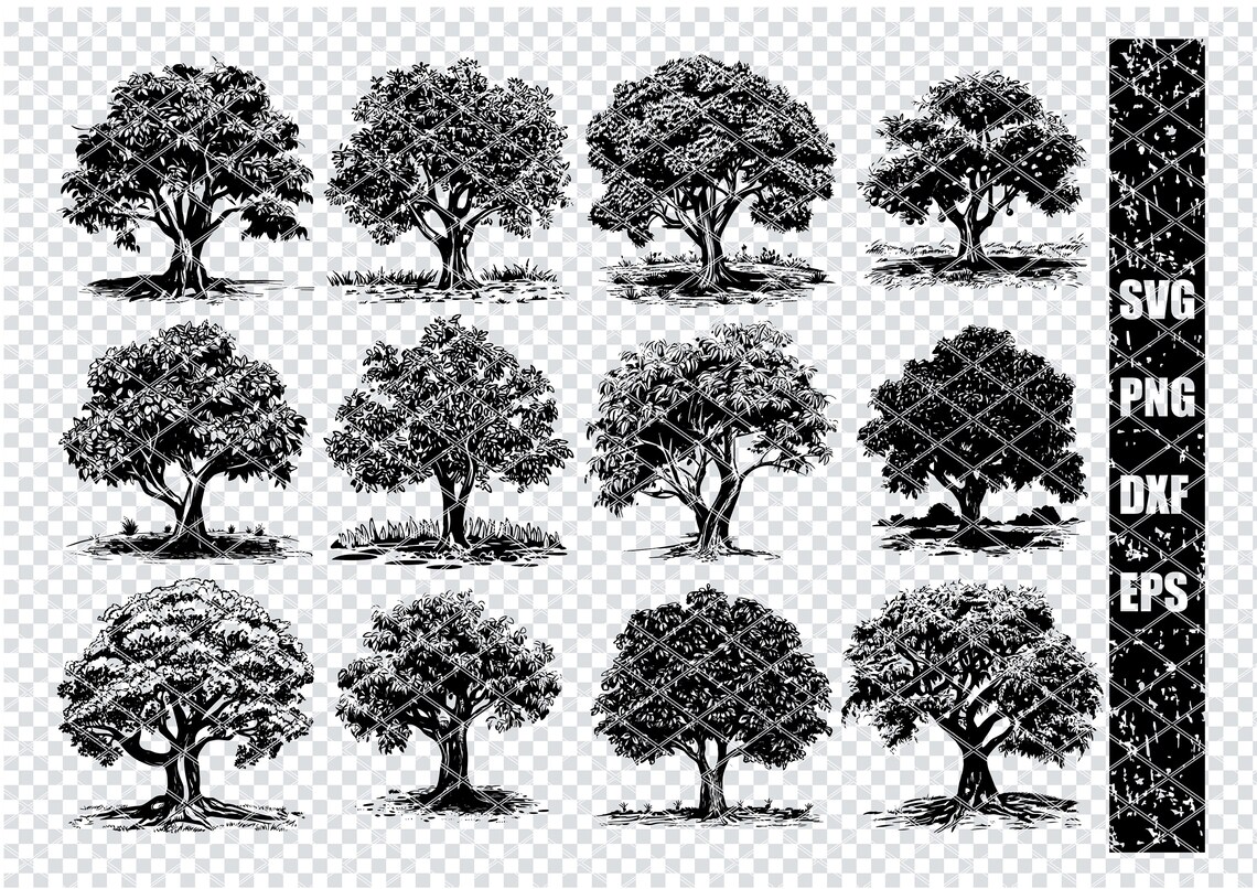 MANGO TREE SVG, Mango Tree Svg Svg Files for Cricut, Mango Tree Clipart ...