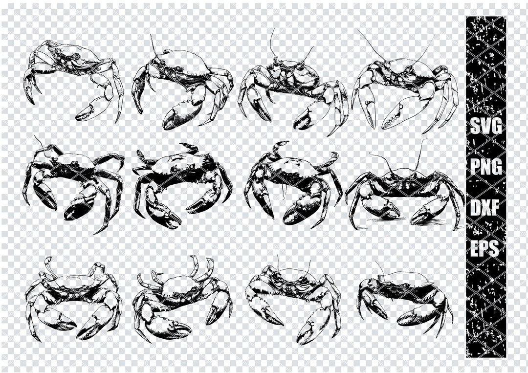 CRAB SVG, CRAB Svg Files for Cricut, Crab Clipart, Laser Cut Files - Etsy