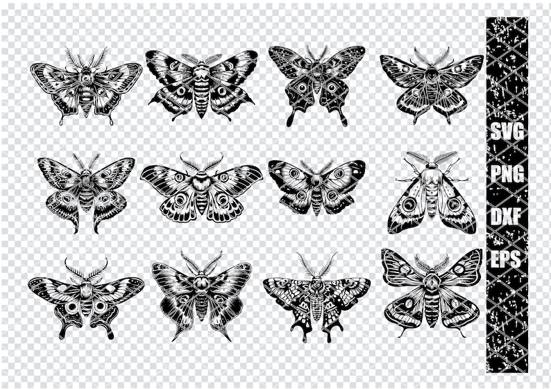 MOTH SVG, MOTH Svg Files for Cricut, Moth Clipart, Laser Cut Files - Etsy