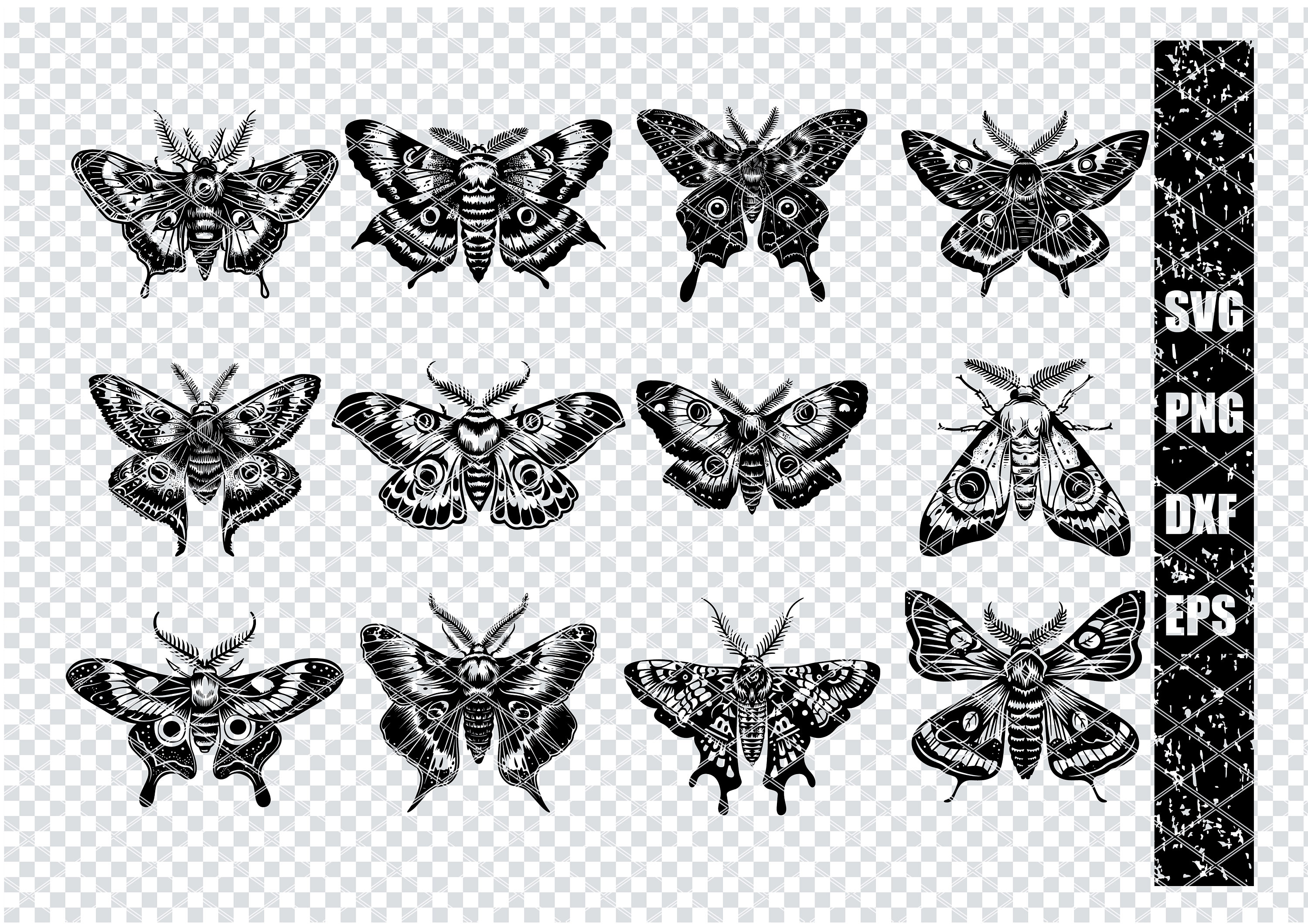 MOTH SVG, MOTH Svg Files for Cricut, Moth Clipart, Laser Cut Files - Etsy