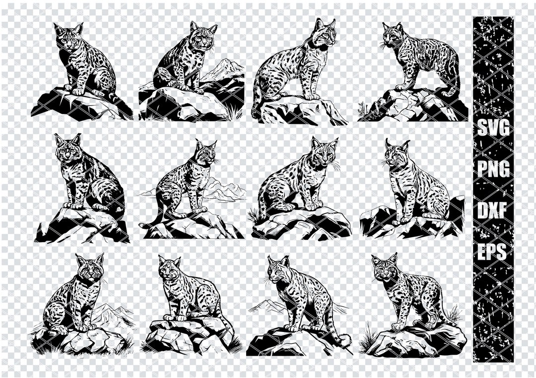 WILD BOBCAT LYNX Svg, Wildcat Bobtail Felis Svg Files for Cricut ...