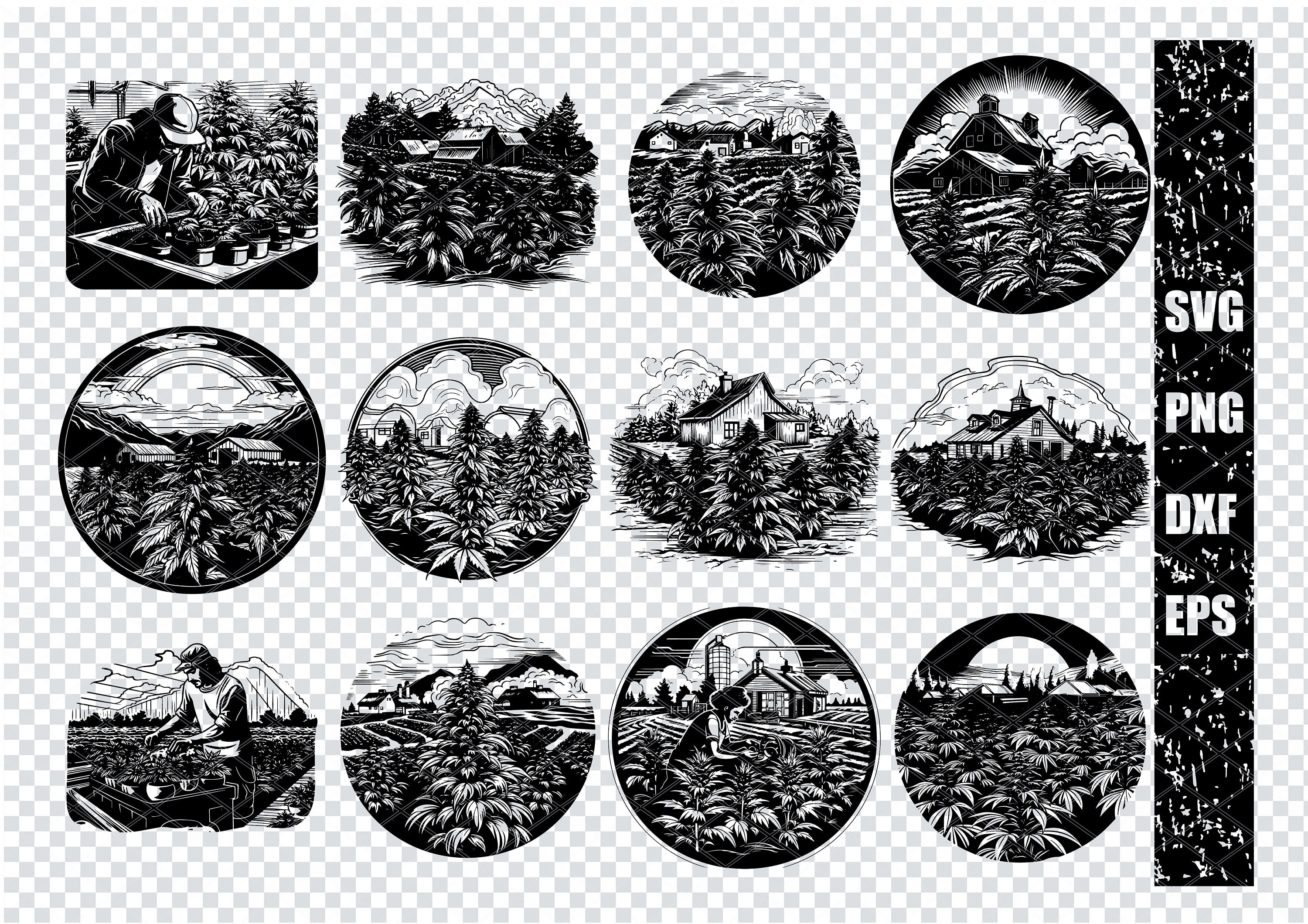 MARIJUANA FARM SVG, Cannabis Farm Svg Files for Cricut, Weed Farm ...