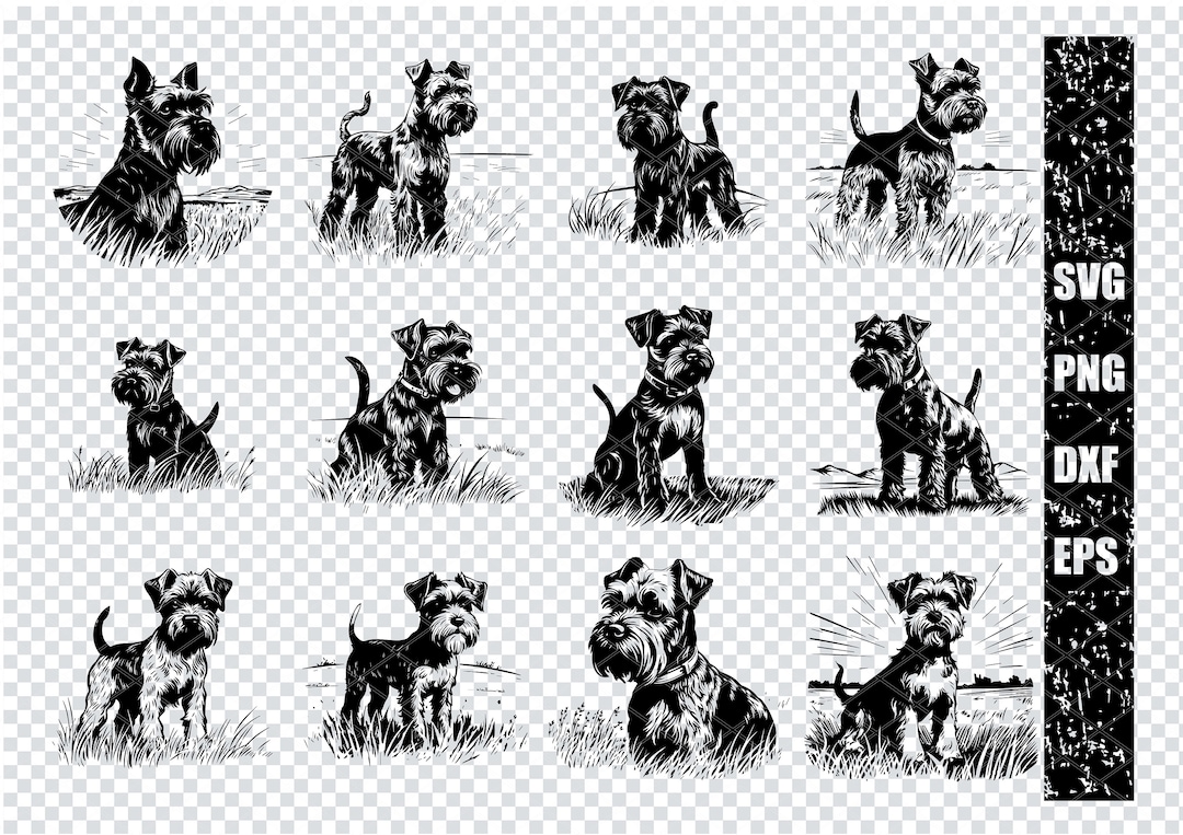 MINIATURE SCHNAUZER SVG, Miniature Schnauzer Clipart, Miniature ...