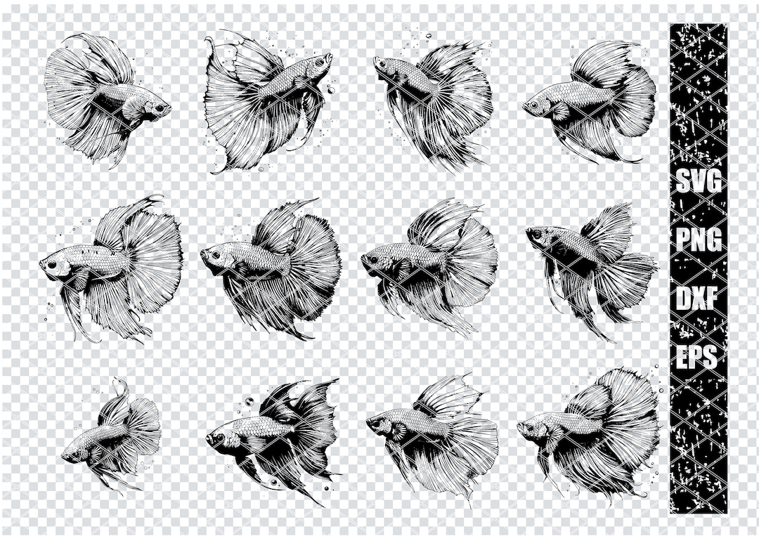 BETA FISH SVG, Beta Fish Svg Files for Cricut, Beta Fish Clipart, Laser ...