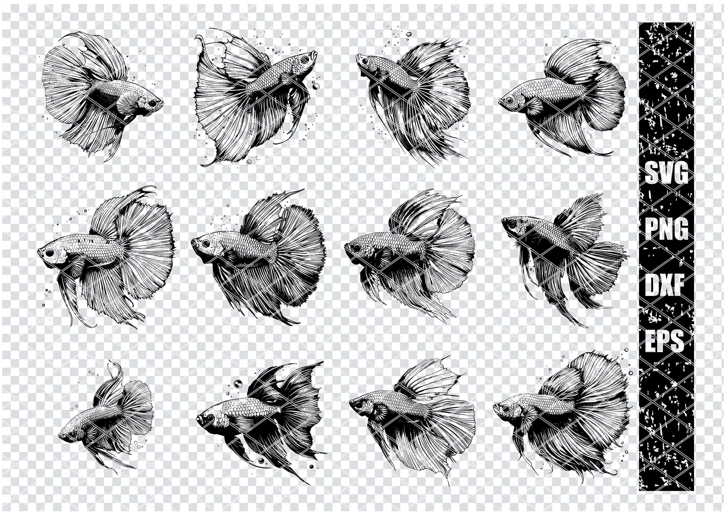 BETA FISH SVG, Beta Fish Svg Files for Cricut, Beta Fish Clipart, Laser ...
