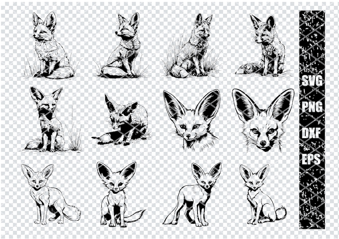 FENNEC FOX SVG, Fennec Fox Svg Files for Cricut, Fennec Fox Clipart ...