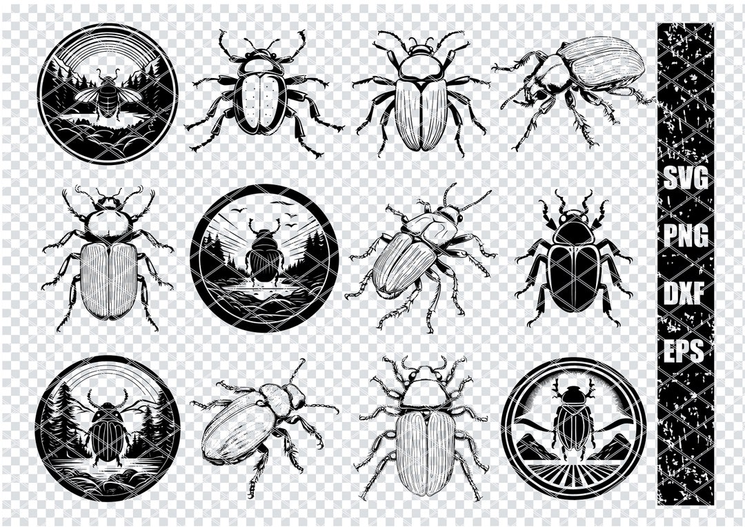 BEETLE SVG, BEETLE Bug Svg Files for Cricut, Beetle Clipart, Laser Cut ...