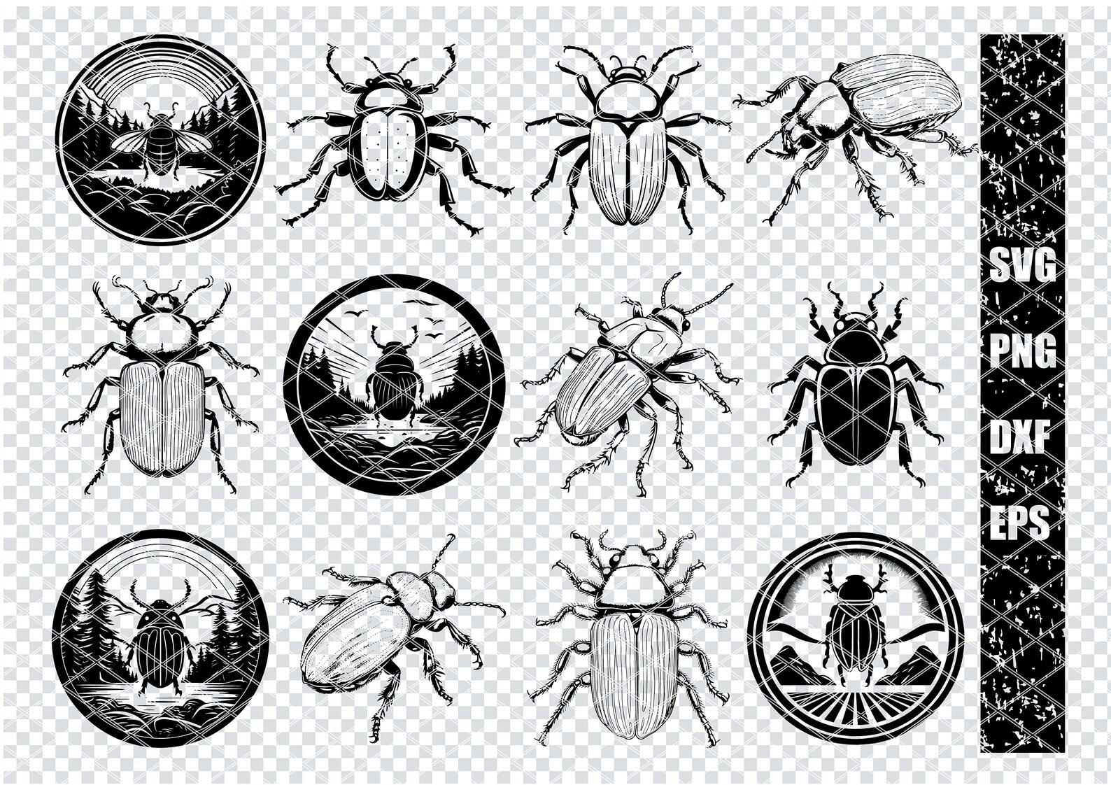 BEETLE SVG, BEETLE Bug Svg Files for Cricut, Beetle Clipart, Laser Cut ...