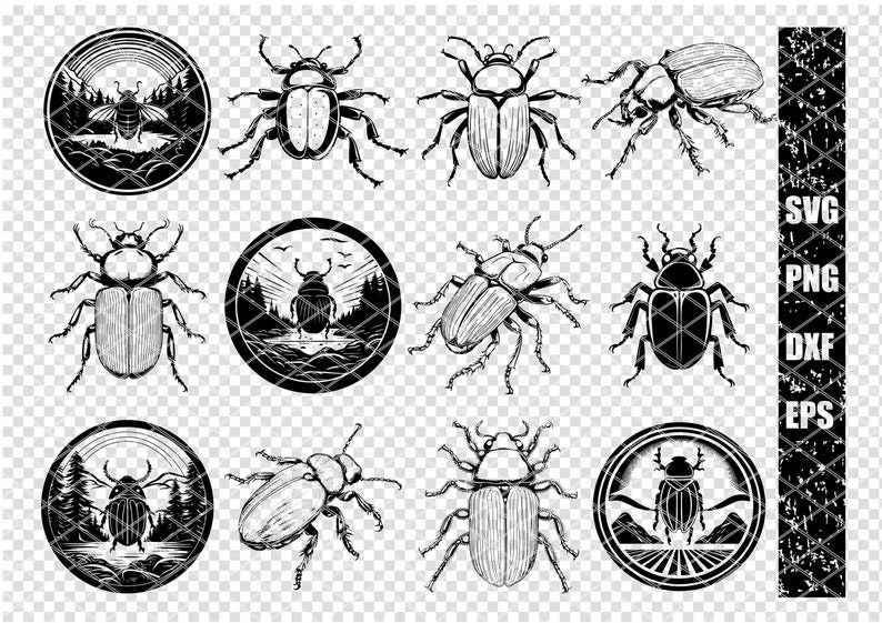 BEETLE SVG, BEETLE Bug Svg Files for Cricut, Beetle Clipart, Laser Cut ...