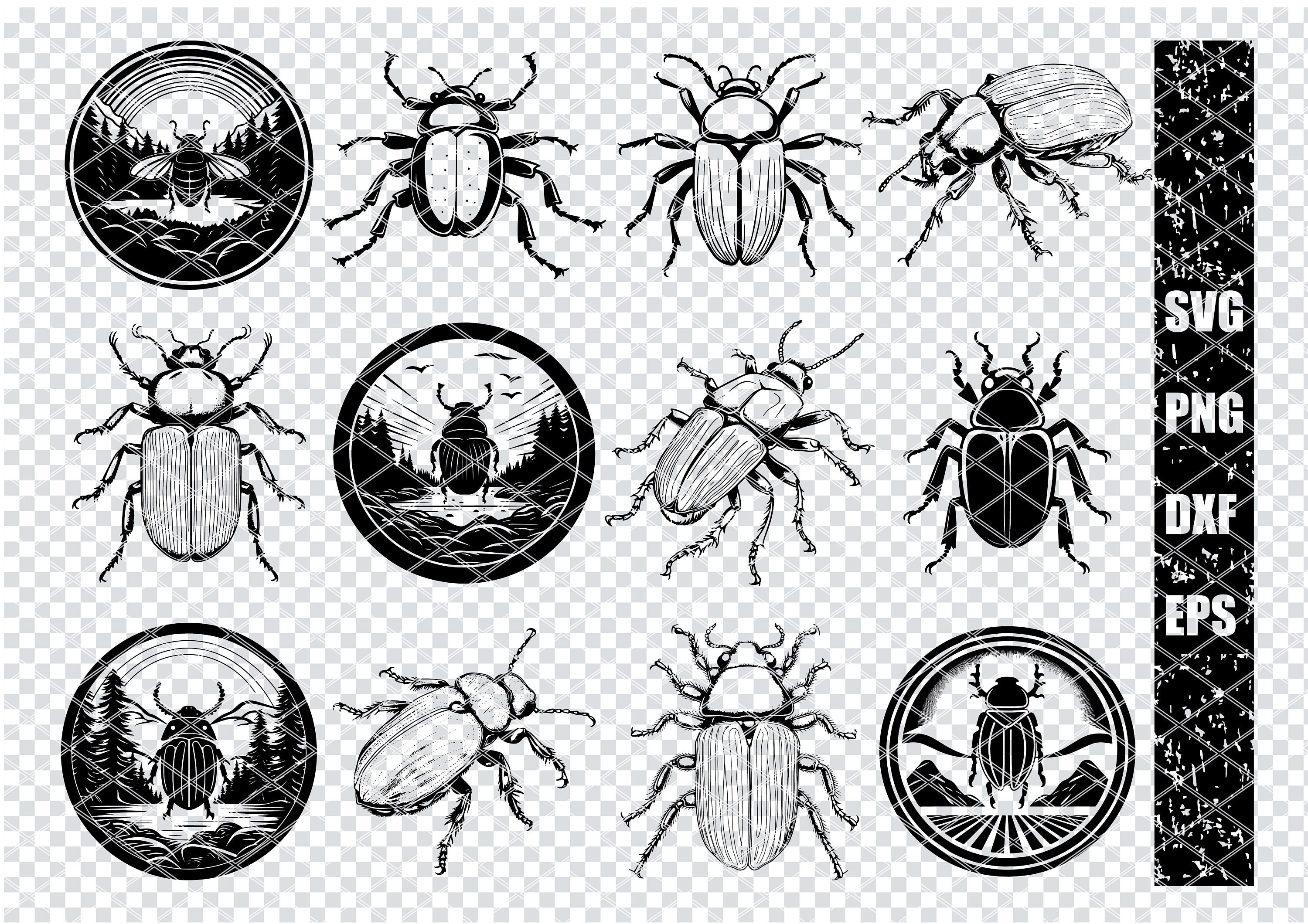 BEETLE SVG, BEETLE Bug Svg Files for Cricut, Beetle Clipart, Laser Cut ...