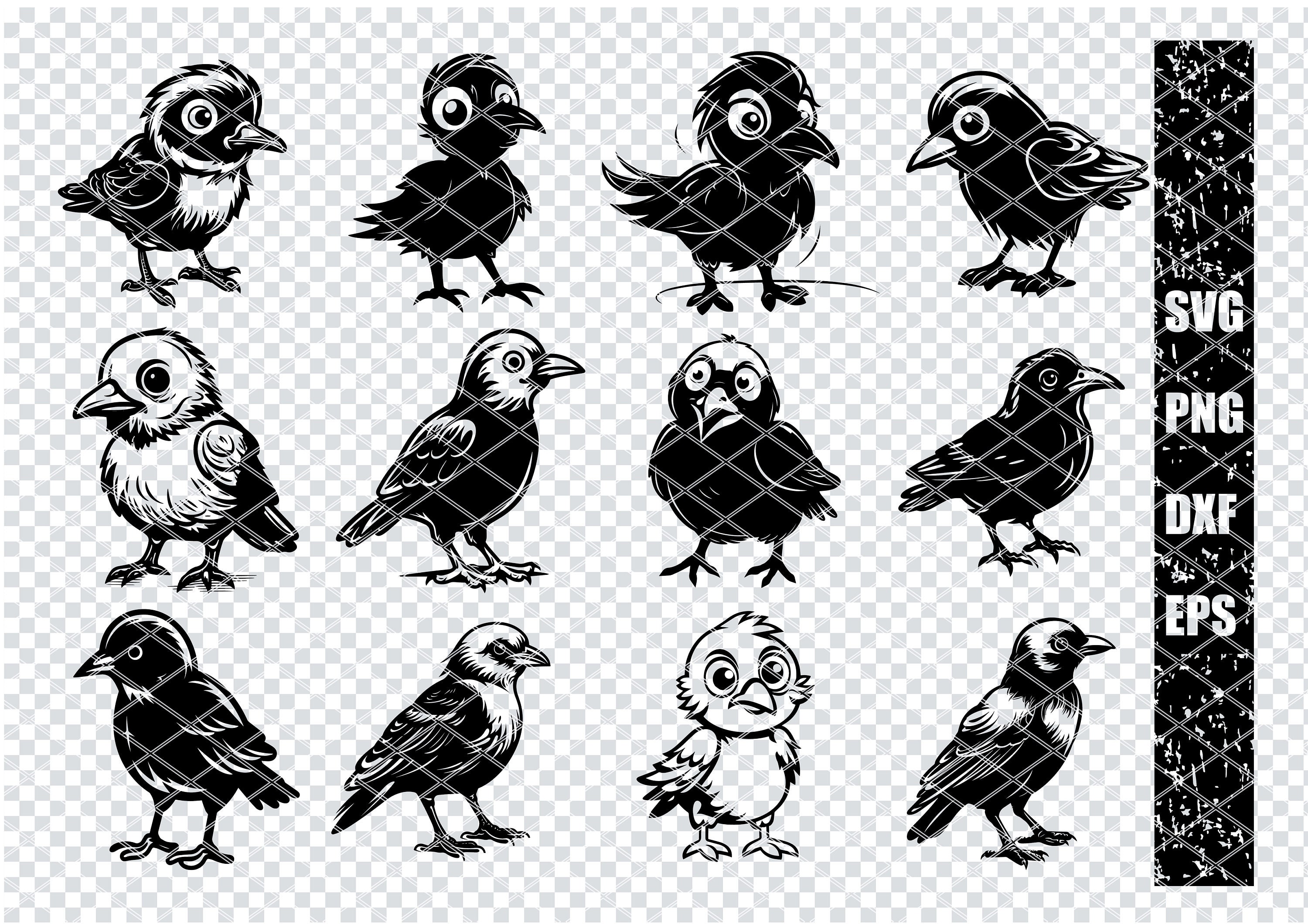 CUTE BABY RAVEN Svg, Cute Baby Crow Svg Files for Cricut, Adorable Crow ...