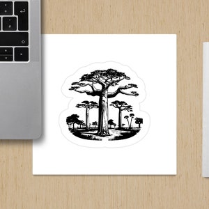 GIANT BAOBAB TREE Svg, Boab African Tree Svg Files for Cricut, Baobab ...