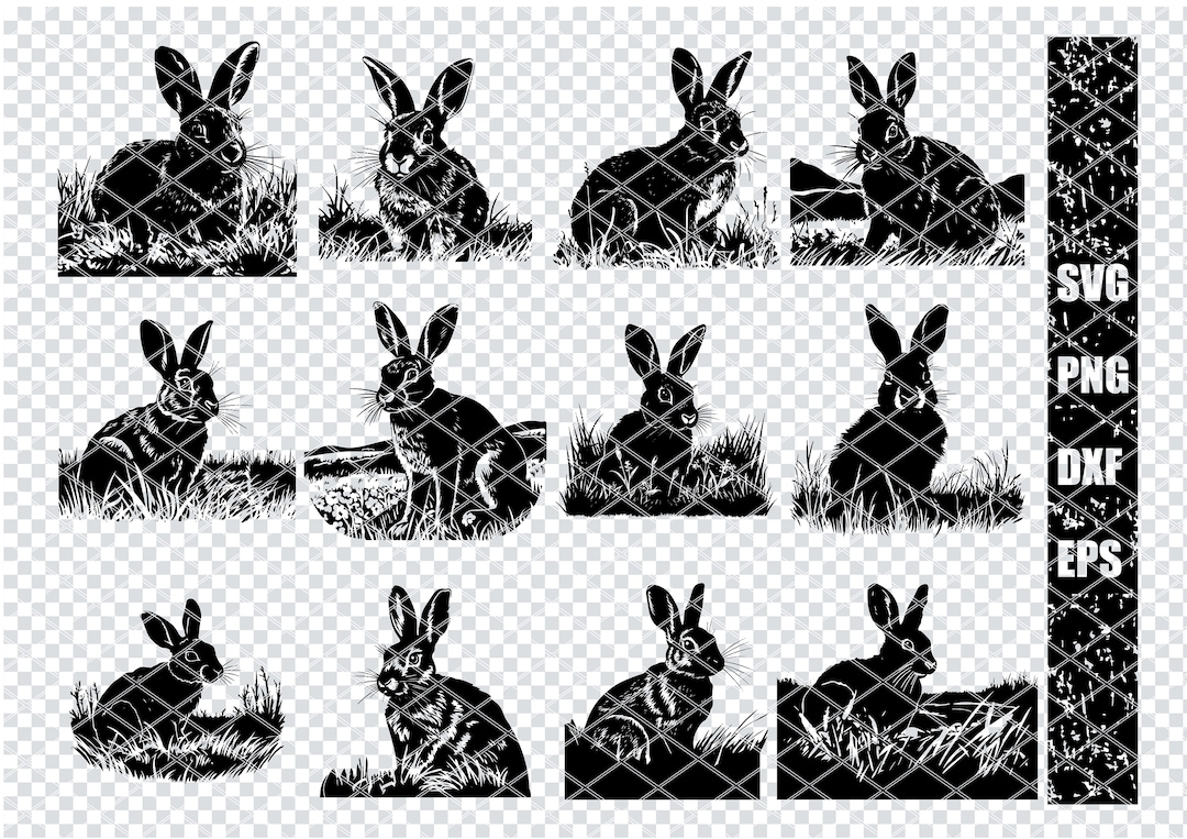 MINI REX Dwarf RABBIT Svg, Small Bunny Mini Rex Svg Files for Cricut ...