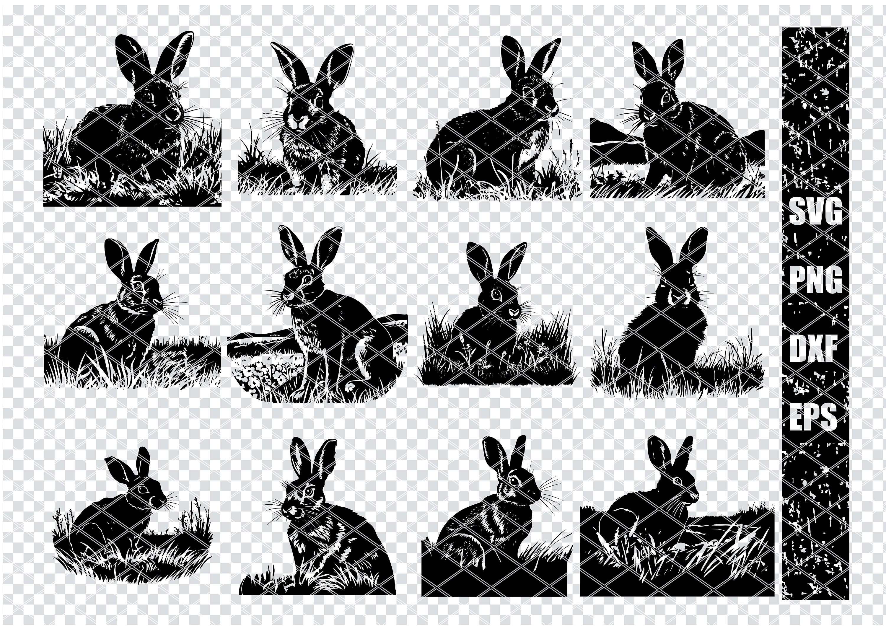 MINI REX Dwarf RABBIT Svg, Small Bunny Mini Rex Svg Files for Cricut ...