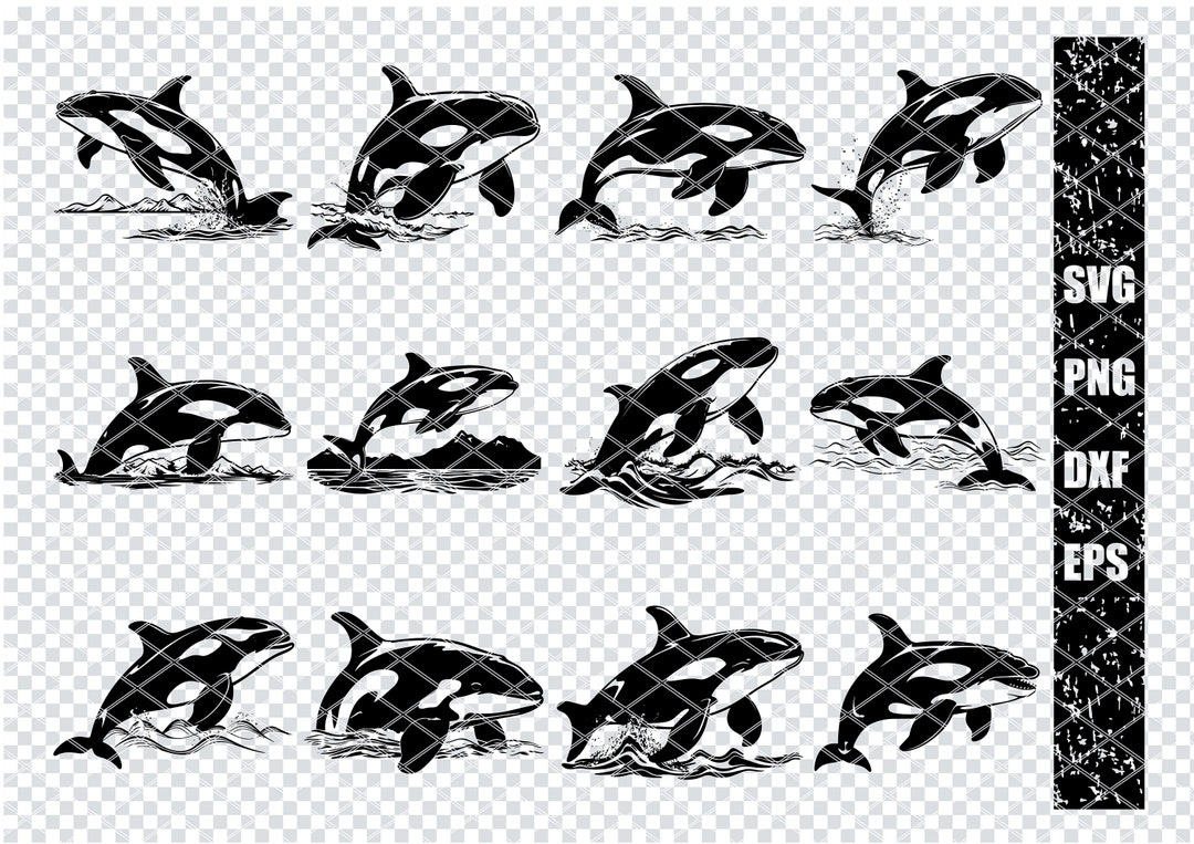 ORCA KILLER WHALE Svg, Orca Apex Predator Svg Files for Cricut, Orca ...