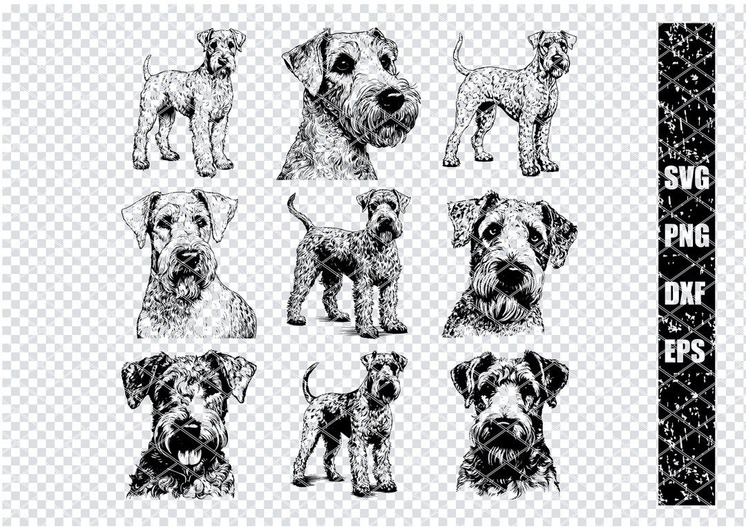 AIREDALE TERRIER DOG Svg, Airedale Terrier Clipart, Airedale Terrier ...